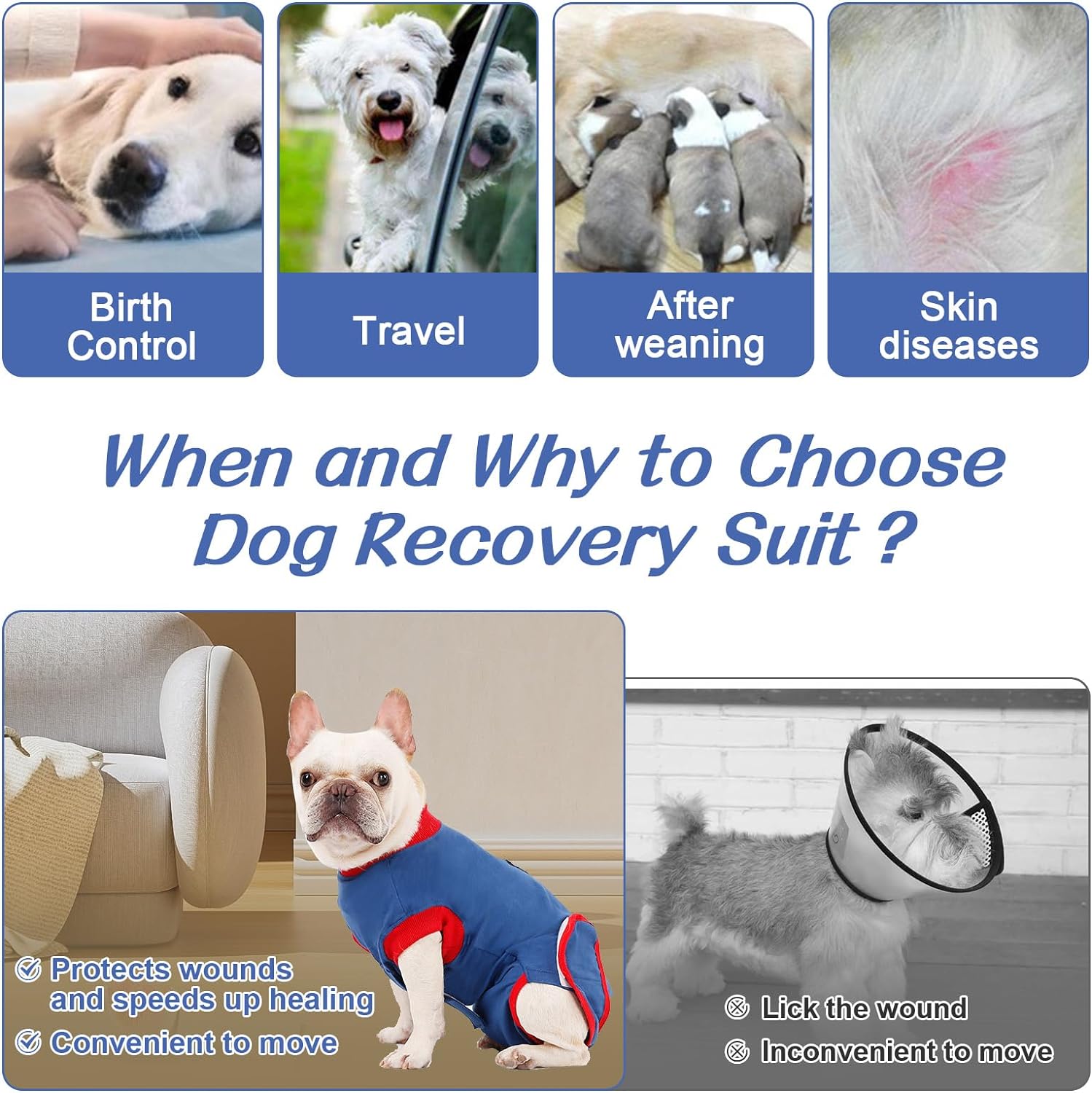 Dog Surgery Recovery Suits – iFirst