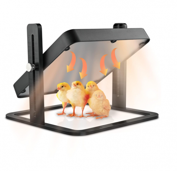 Chick Brooder Heater， Poultry Brooder Heating Plate，Adjustable Temp ...